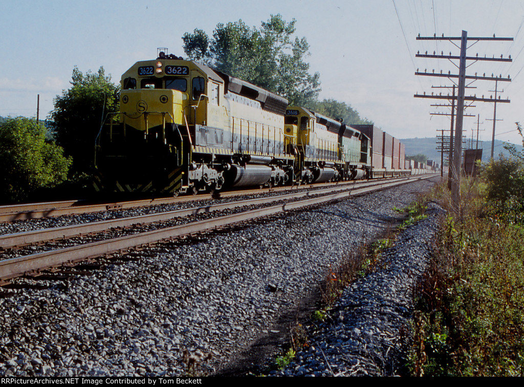 Early in the morning